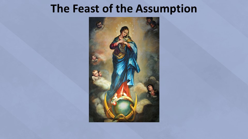 Year 5 - Te Tau Me Ona Ritenga Tapu » Faith Alive